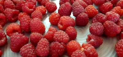 Raspberry City